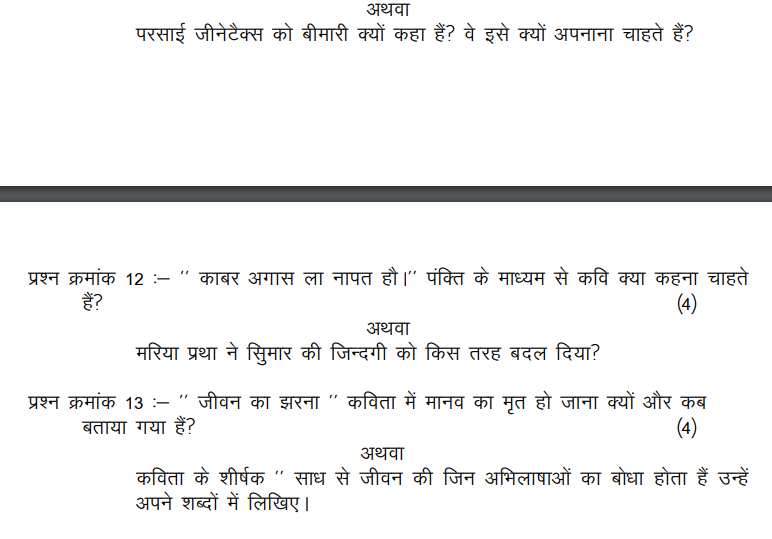 CGBSE 10th Hindi Specific Model Paper 2024: Download CG Board Class 10 Hindi Specific Sample ...